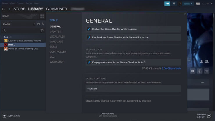 How to Open Console in Dota 2 | DiamondLobby