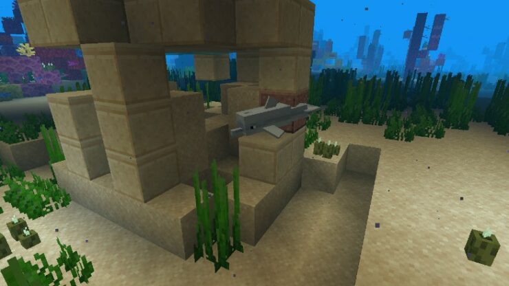 How to Ride Dolphins in Minecraft | DiamondLobby
