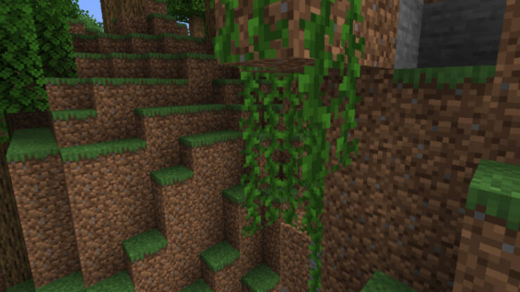 How to Grow Vines in Minecraft | DiamondLobby