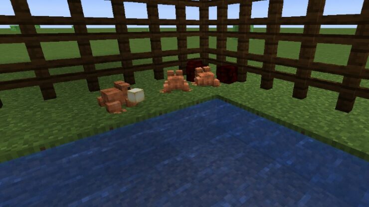 How to Get Froglight in Minecraft | DiamondLobby