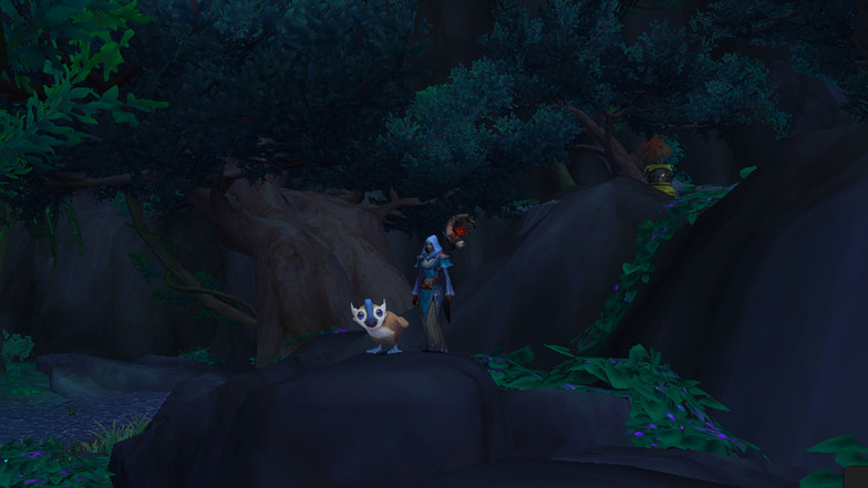 How to Get the Pilot Pet in Dragonflight | DiamondLobby