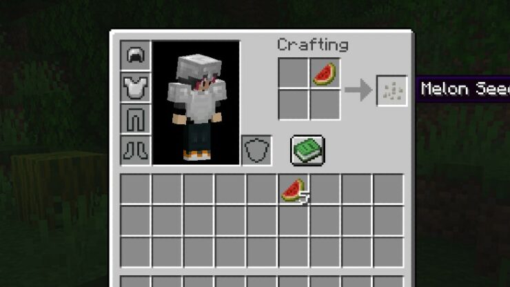 How to Grow Melons in Minecraft | DiamondLobby