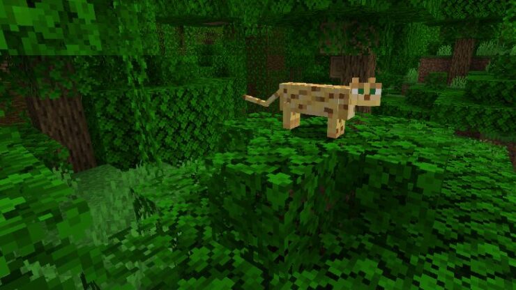 How to Tame an Ocelot in Minecraft | DiamondLobby