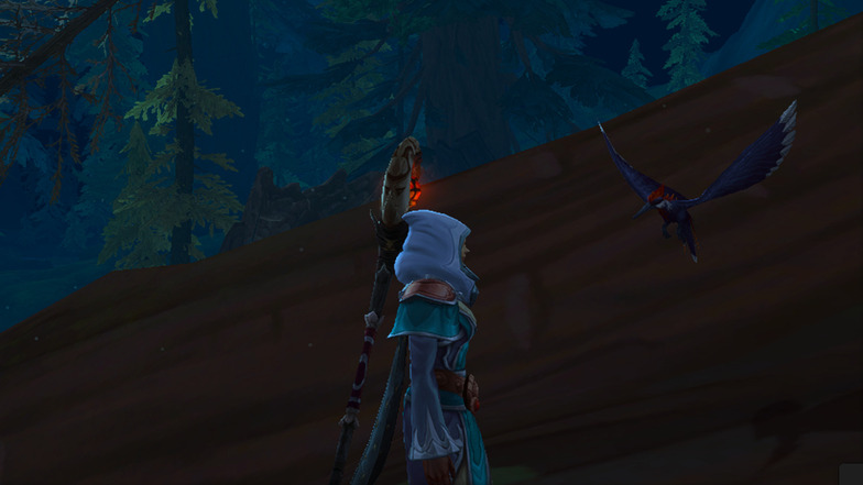 How to Get the Blackfeather Nester Pet in Dragonflight