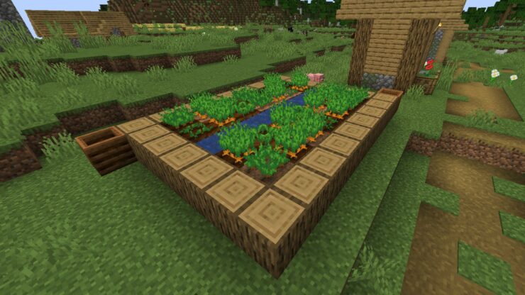 How to Grow Carrots in Minecraft | DiamondLobby