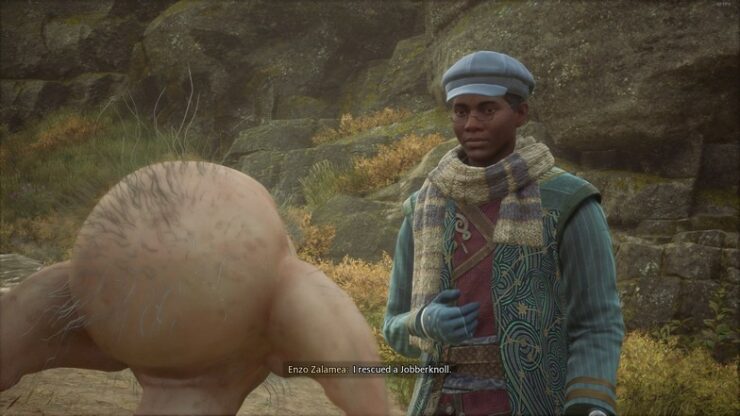 How to Capture Beasts in Hogwarts Legacy (Full Beast Guide)